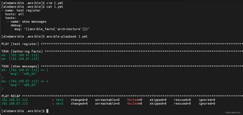ansible中的变量及加密 ansible hosts文件加密 csdn博客