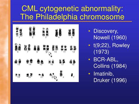 Ppt Resistance To Imatinib In Chronic Myelogenous Leukemia Cml