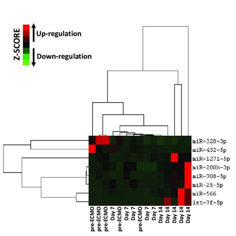 Hierarchical Clustering Analysis Based On Eight Selected Mirna