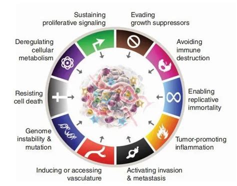 肿瘤经典综述1 医学界 助力医生临床决策和职业成长