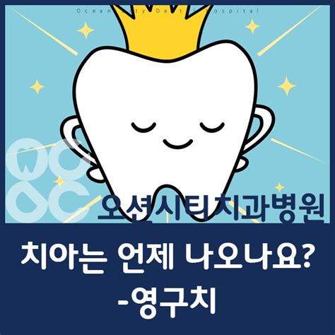 치아는 언제 나오나요 치아 맹출 시기 영구치 편 네이버 블로그