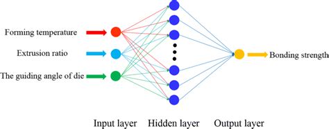 topological structure of neural network model download scientific diagram