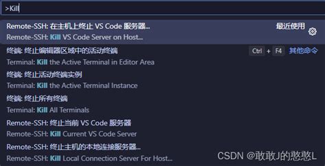 设置 Ssh 主机 Details 连接到 Vs Code Server 重试 2设置 Ssh 主机 Niu Details 连接到 Vs Code Server