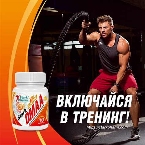 Купить Предтреник (DMAA + Caffeine) (30 caps.) Stark Pharm в Киеве ...