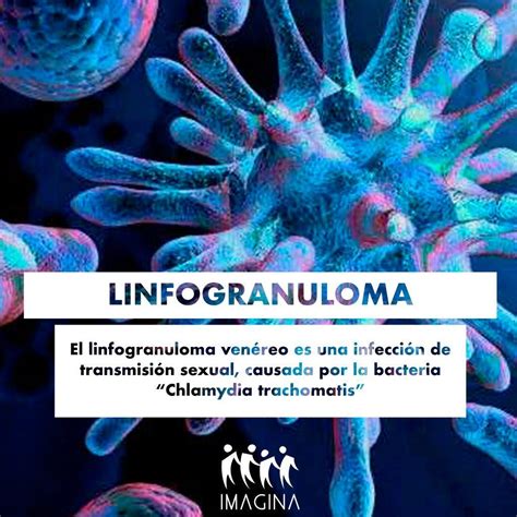 Linfogranuloma Venéreo Imagina Más