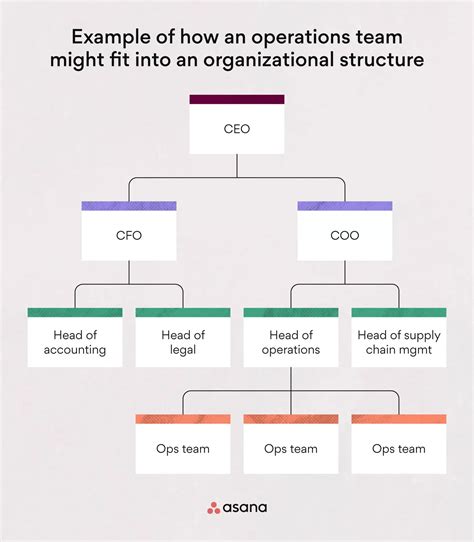 7 Functions Of Operations Management And Skills Needed [2023] • Asana