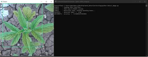 Github Manideep03weed Detection Detecting Weed Plants In Fields