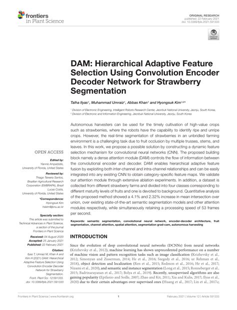 Pdf Dam Hierarchical Adaptive Feature Selection Using Convolution
