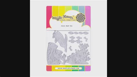 Coral Reef Die