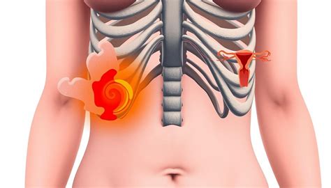 Organs Under Ribs Left Side