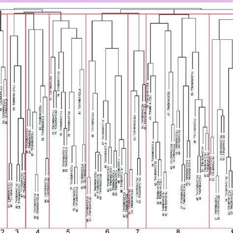 C Index Curves And Survival Curves On The Basis Of Dataset 2 A