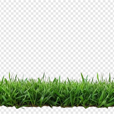 Page 2 Realistic Grass Cgi Images Free Download On Freepik