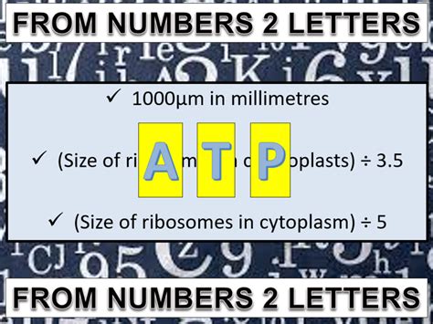 The Role Of ATP In Cells CIE International A Level Biology Teaching Resources