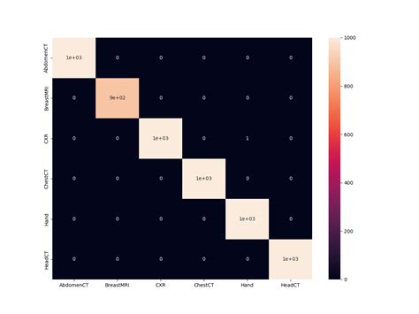 Training A Custom Pytorch Classifier On Medical Mnist Dataset