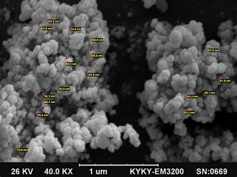 Sem Image Of Tio2 Nanoparticles Download Scientific Diagram
