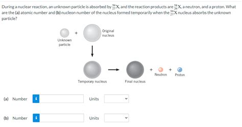 Solved During A Nuclear Reaction An Unknown Particle Is