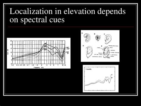 Ppt Development Of Sound Localization Powerpoint Presentation Free Download Id 1357350