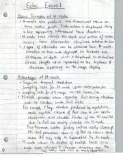 Exam 1 Pdf Course Hero