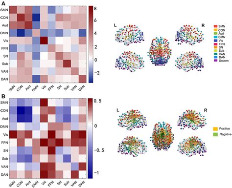 Predicting Brain Age Based On Spatial And Temporal Features Of Human