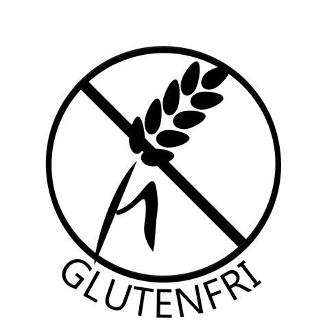 Nyform 5 Dagars Fasta Fastepaket Med Juicer Hälsokraft