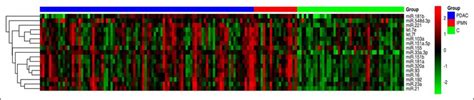 Circulating Mirna Expression Profiles Distinguish Between Patients With