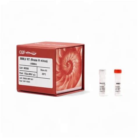 Me006 Mmlv Reverse Transcriptase At ₹ 6300piece Lucknow Id