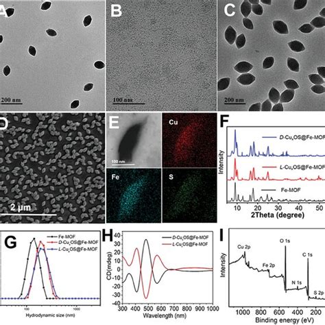A Tem Image Of The Fe‐mof B Tem Image Of The D‐cuxos C Tem Image Download Scientific