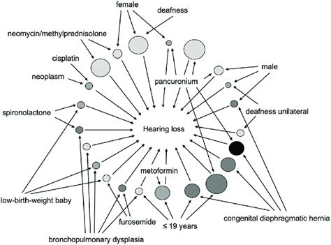 Association Rules For Drug Induced Hearing Loss Based On The Jader Download Scientific Diagram