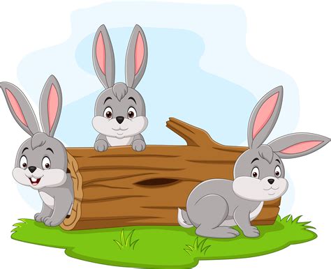Bunny Pictures Cartoon