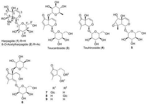 Bio Active Compounds From Teucrium Plants Used In The Traditional