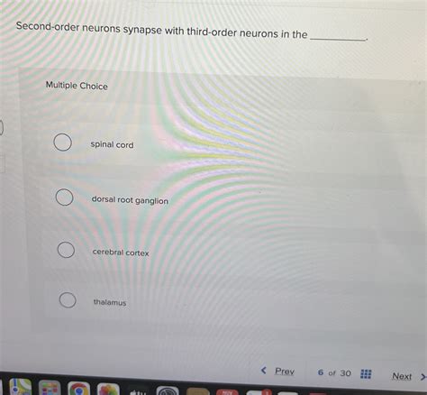 Solved Second Order Neurons Synapse With Third Order Neurons
