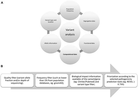 Frontiers Insights On Variant Analysis In Silico Tools For Pathogenicity Prediction
