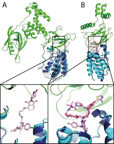 Near Native Predictions For Two Non Traditional Protac Ternary Download Scientific Diagram