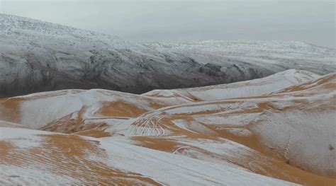 Rare Phenomenon Snow Falls On Sahara Desert In Northern Algeria