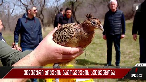 ენდემური ჯიშების გამრავლების ხელშეწყობა Youtube