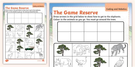 Grade 2 Robotics And Codingthe Game Reserve Algorithm