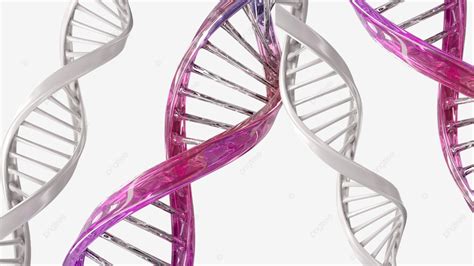3d modeling dna horizontal map three dimensional pink and white dna