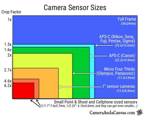 Digital Camera Sensor Size Comparison Chart At Alonzo Christensen Blog