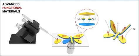 Researchers Make Advances In Reconfigurable Miniature Robots And Targeted Therapies