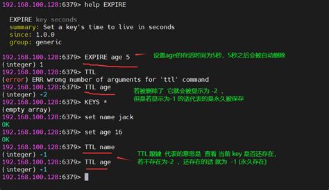 Redis的基本用法快速入门redis一般怎么使用 Csdn博客