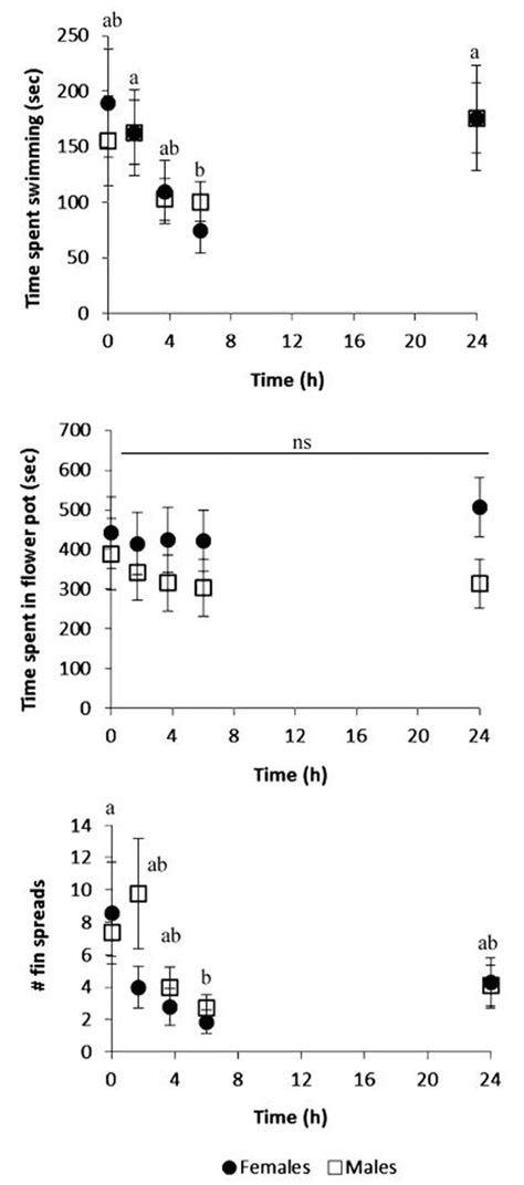 Temporal Trends In Exploratory Behaviour While In A New Environment In