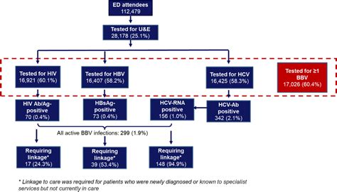 Flow Of Patients Through The BBV Testing Pathway Within The ED Testing Download Scientific