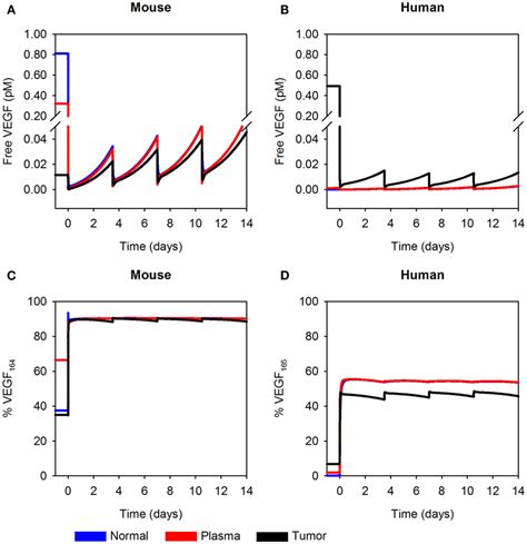 Predicted Concentration Profiles Of Unbound Vegf The Optimized Model Download Scientific