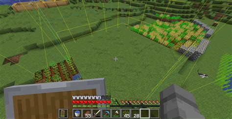 An Exact Chunk Of My Base Was Deleted When I Loaded Into My World Java 1192 And On Optifine