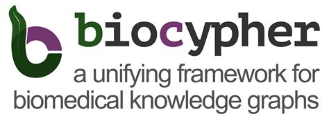 Github Biocypherbiocypher A Unifying Framework For Biomedical Research Knowledge Graphs