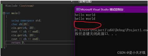 c 的get和getline方法 csdn博客