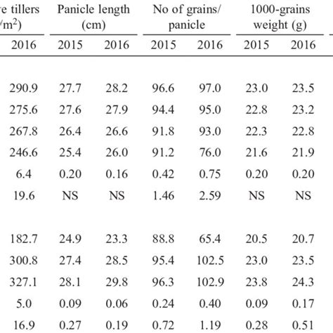 Effect Of Irrigation And Nitrogen Management Practices On Yield