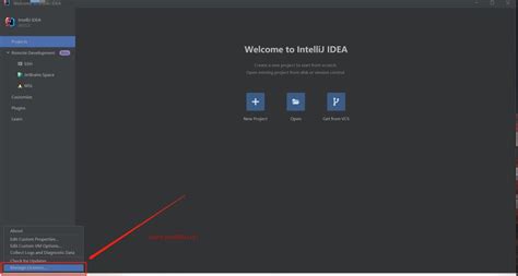 idea插件 jpa buddy 免费激活破解教程 编程好6激活码