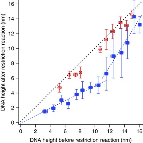 The Effect Of Dsdna Density On Restriction Enzyme Reactions Inside Download Scientific Diagram