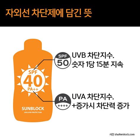 보스피부과 자외선 차단제에 대한 모든 것 2편 자외선 차단제에 적혀있는 표기들은 정확히 무슨
